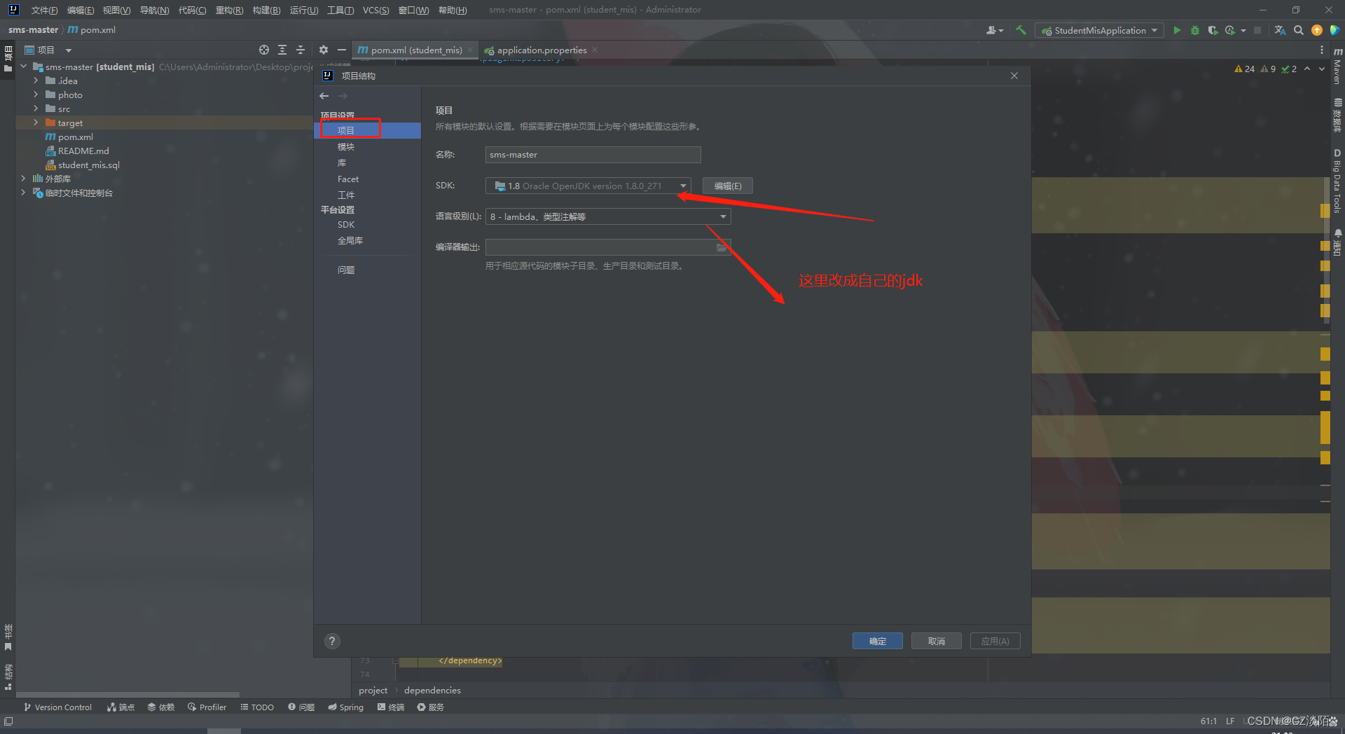 Idea运行springboot项目（保姆级教学）_iead 运行springboot 项目-CSDN博客