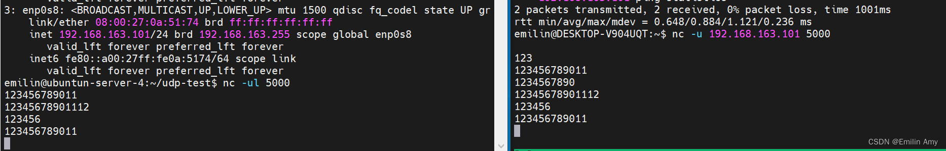 WSL UDP通信的一个Bug-CSDN博客