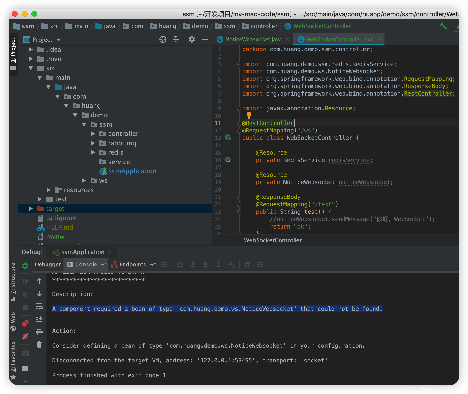 Springboot启动出现A component required a bean of type ‘com.xxx‘ that could not问题解决_a bean of type ...