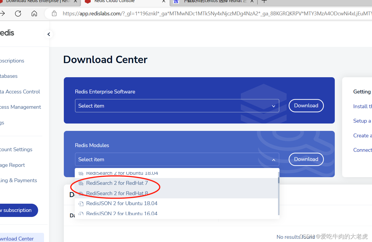 Redis查询之RediSearch和RedisJSON讲解-CSDN博客