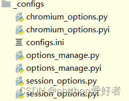 DrissionPage模块(五)_drissionpage options-CSDN博客