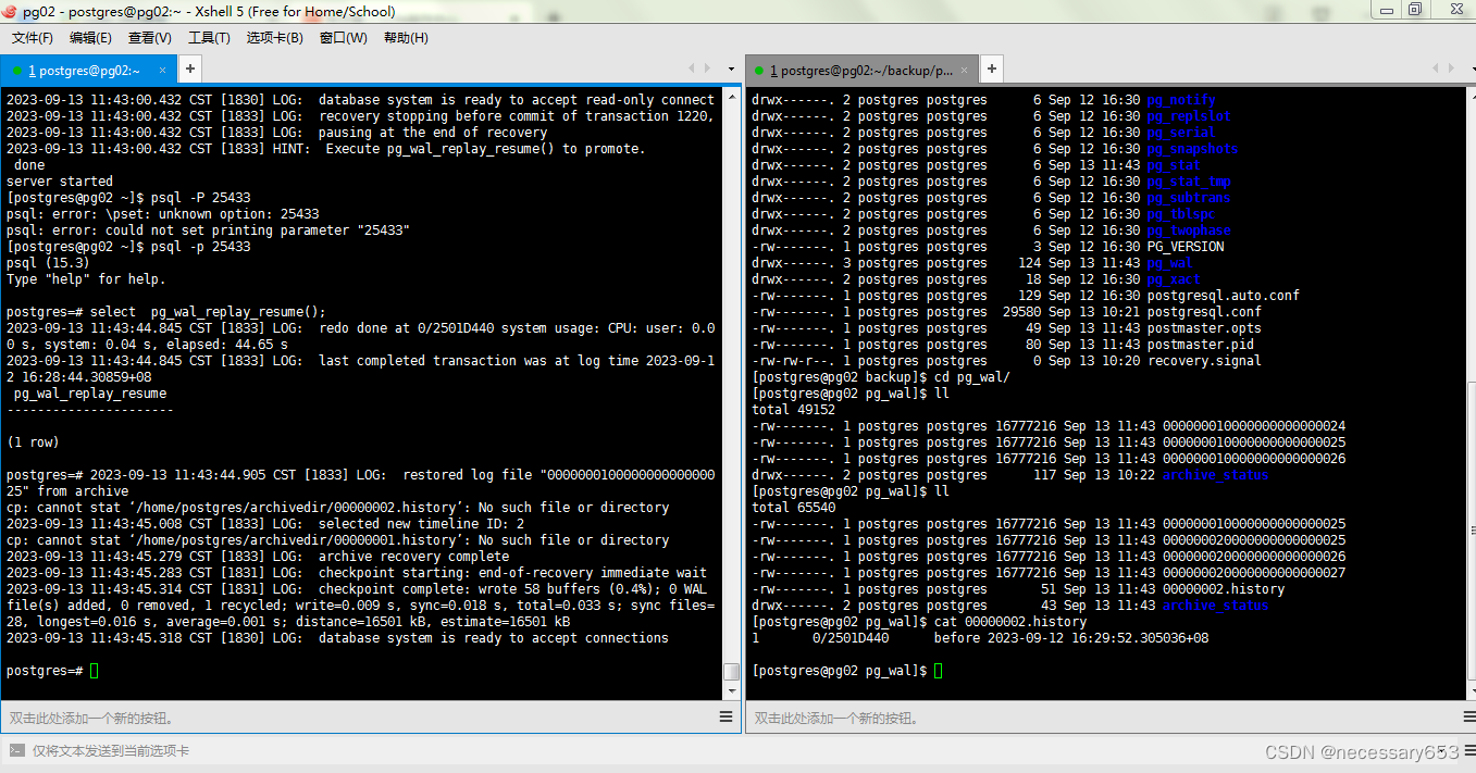 postgresql使用PITR的方式常见报错_00000002.history-CSDN博客