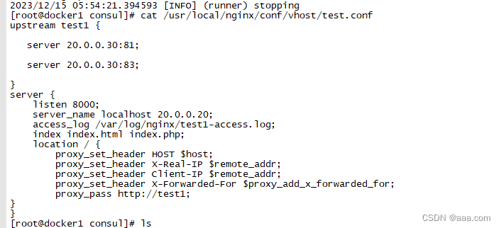 docker consul 容器的自动发现与注册_docker容器注册-CSDN博客