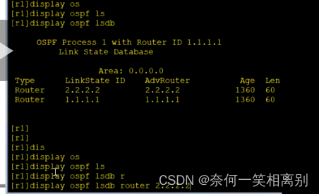 OSPF协议中的路由信息与LSA详解-CSDN博客