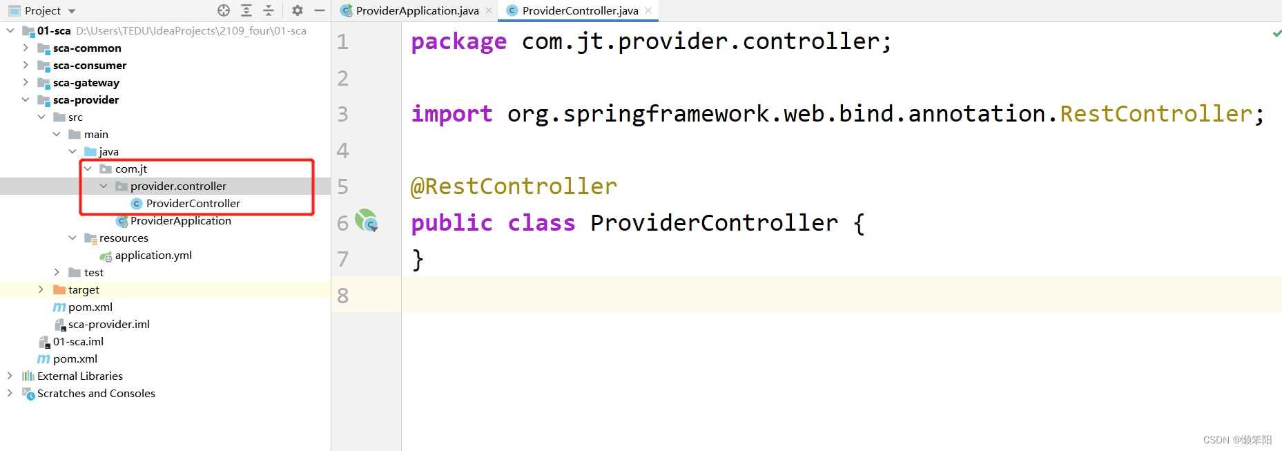 Nacos服务注册中心_config: info-CSDN博客