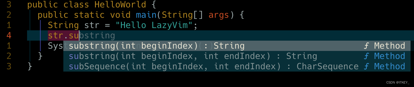 2024年在Vim中开发vue2+java_neovim java-CSDN博客