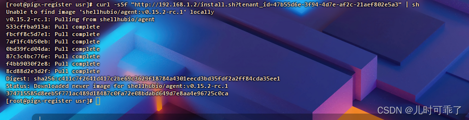使用ShellHub搭建集中式SSH-CSDN博客