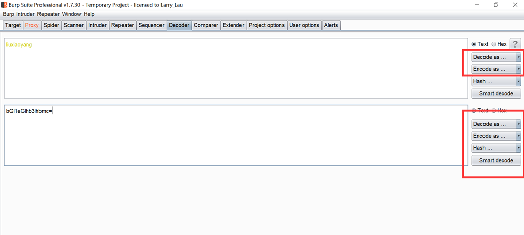1-16 Burpsuite Decoder介绍_burpsuite decoder模块-CSDN博客