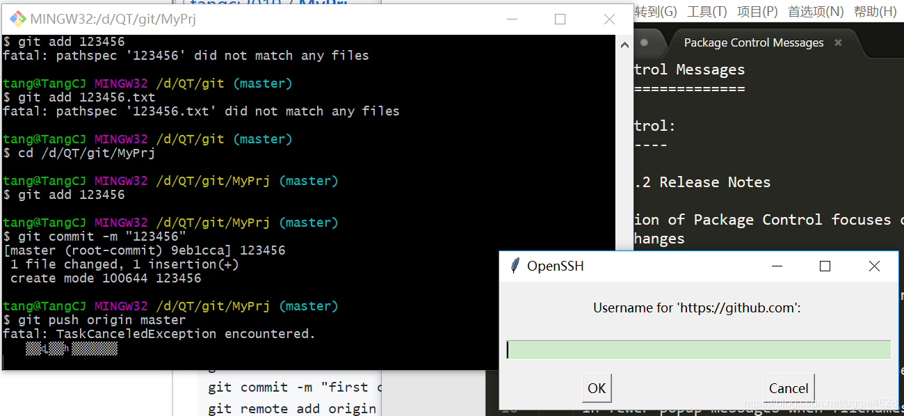 git（1）-windows 下安装git_git win10 镜像-CSDN博客