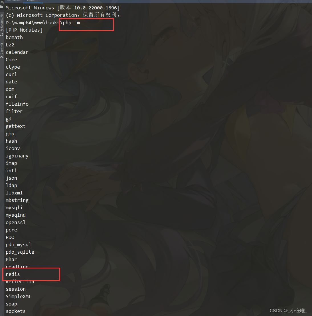 Wamp环境安装redis扩展_wamp redis-CSDN博客