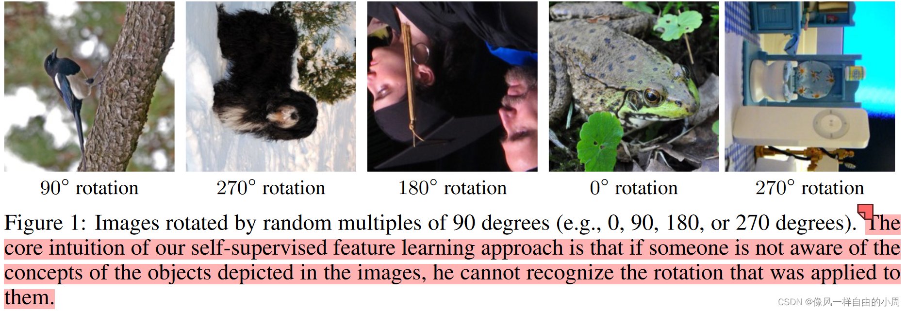 自监督学习UNSUPERVISED REPRESENTATION LEARNING BY PREDICTING IMAGE ROTATIONS论文笔记-CSDN博客