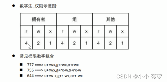 Linux基础命令：文件操作、权限管理与目录导航,-CSDN博客