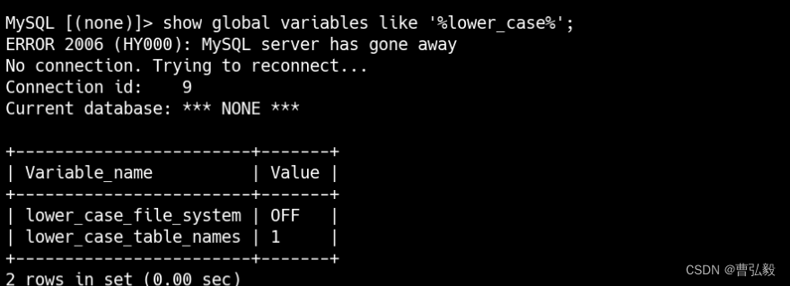 docker容器中调整Mysql忽略大小写_docker mysql 忽略大小写-CSDN博客