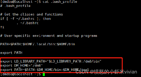 Linux系统环境：DM8数据库安装_linux安装dm8-CSDN博客