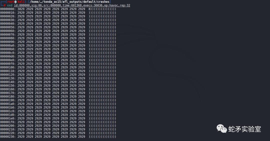 网络靶场实战-Qiling Fuzz实例分析-CSDN博客