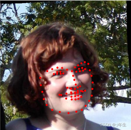 二、Face Alignment in Full Pose Range: A 3D Total Solution（3DDFA）-CSDN博客
