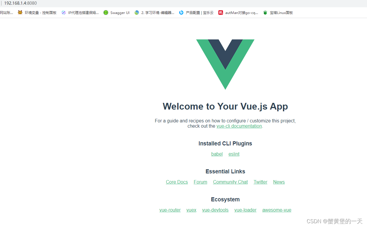 Vue.js项目搭建全攻略：从Node.js安装到创建首个Vue脚手架-CSDN博客