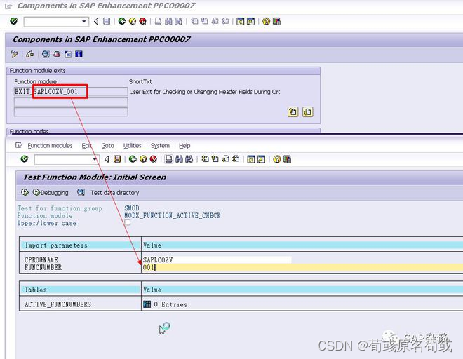 SAP 工单CO01/CO02增强 （RFC: CO_BI_AFPO_UPD 、CO_BI_AFPO_GET 和 SMOD ...