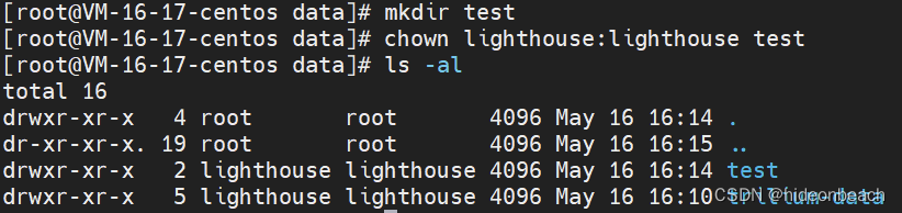 Trilium使用docker搭建服务器使用问题_trilium docker-CSDN博客