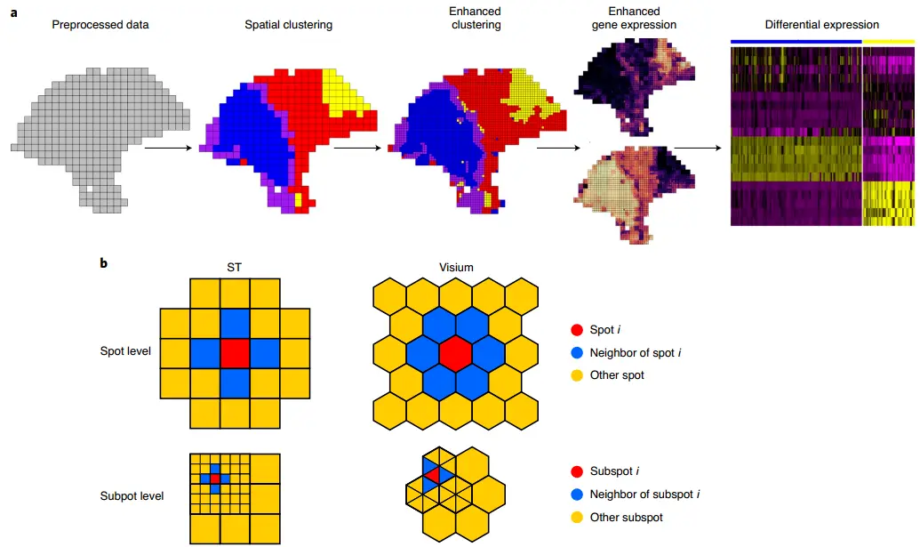 10X空间转录组聚类分析之BayesSpace算法聚类-CSDN博客