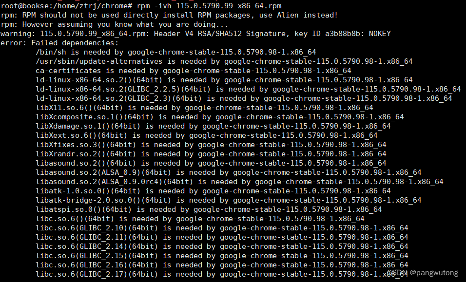 linux安装Chrome_chrome rpm安装-CSDN博客