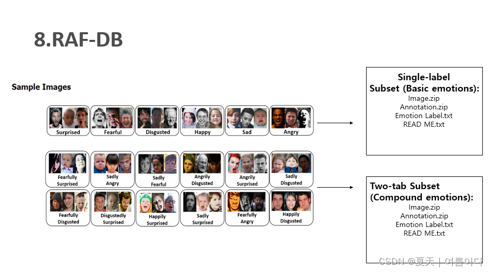 数据集 基于计算机视觉的情绪识别数据集_fer数据集-CSDN博客