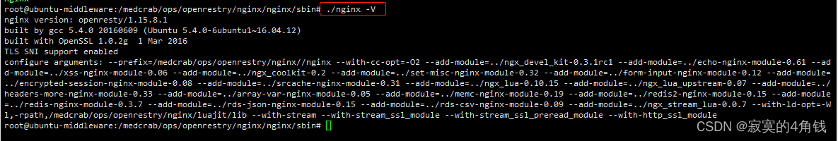 nginx nginx-module-vts 监控模块-CSDN博客
