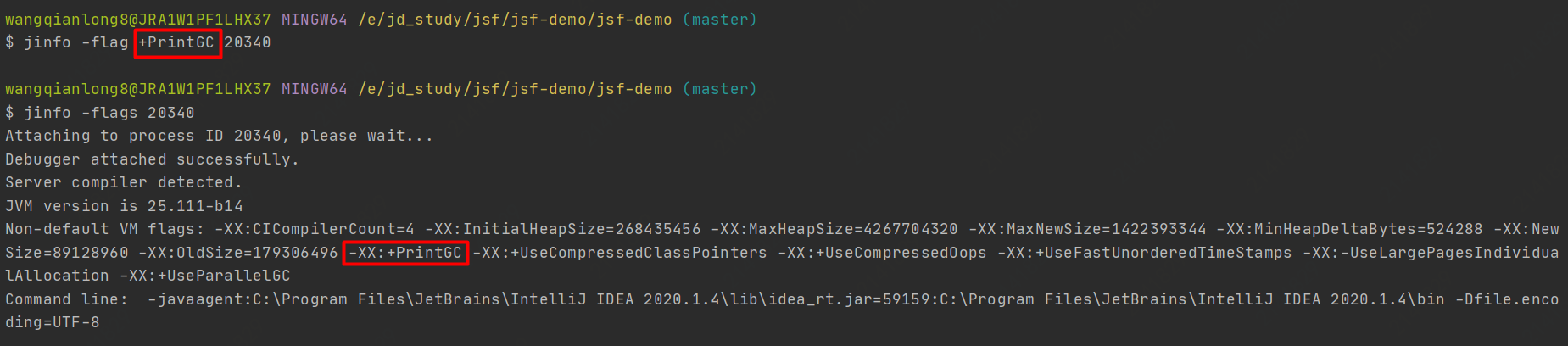 JVM监控命令之——JINFO_jflags-CSDN博客