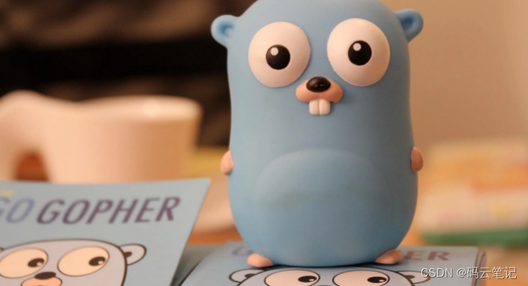 盘点一些前端学go容易被坑的点_前端学习go语言-CSDN博客