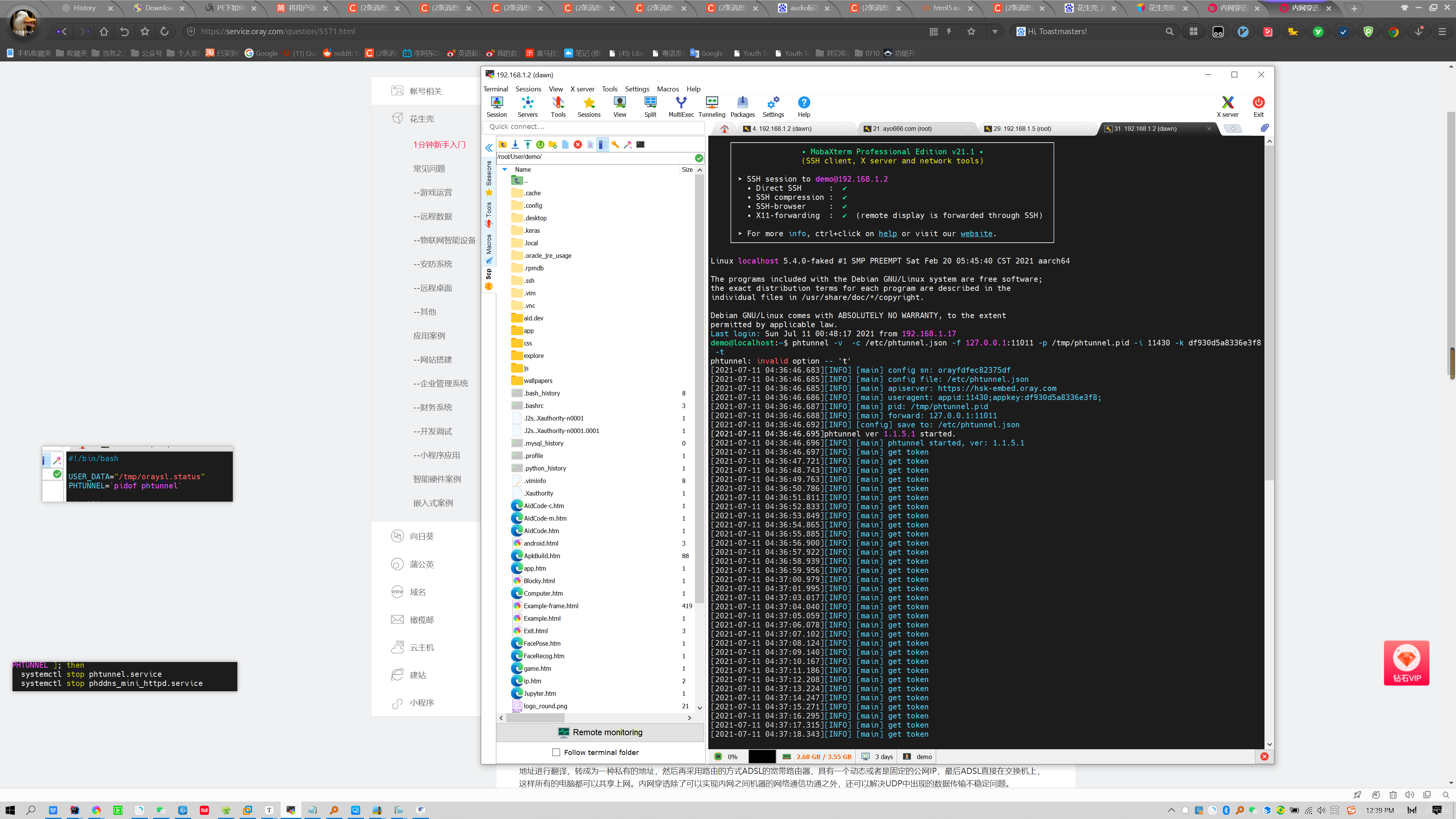 aid learning linux装花生壳内网穿透的失败经历_phddns status sn为空-CSDN博客