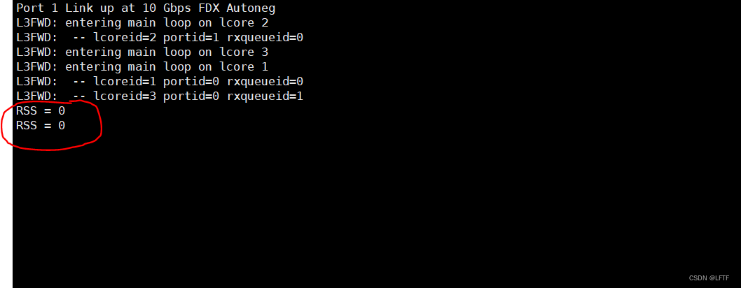 【DPDK】dpdk样例源码解析之五：dpdk-rss_dpdk rss-CSDN博客