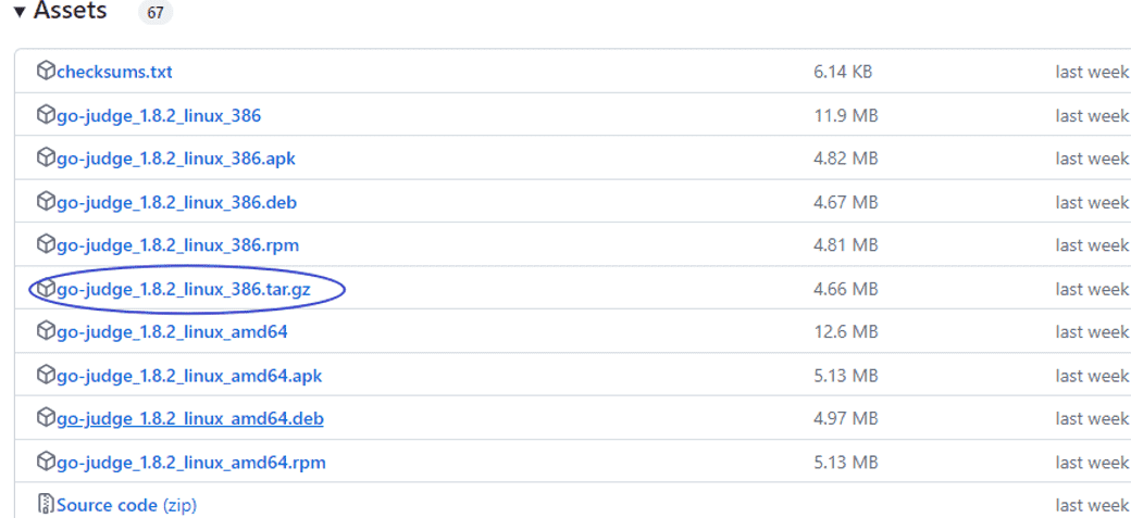 GoJudge环境部署本地部署云服务器部署go-judge判题机详细部署教程go-judge多种判题语言支持（C++、C语言、Java、Python3、Python2）含请求样例-CSDN博客
