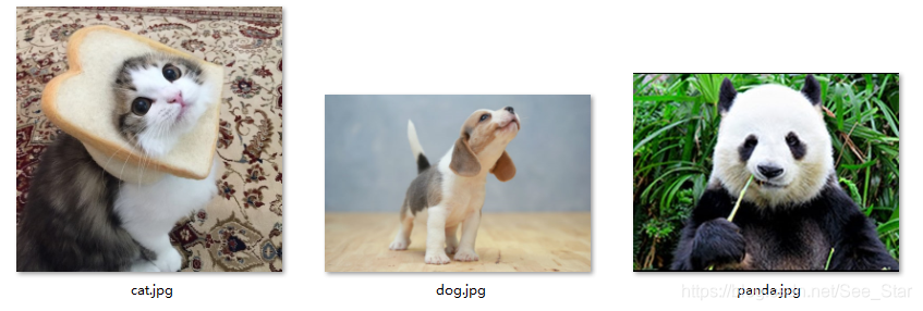 【PyTorch】构造VGG19网络进行本地图片分类（超详细过程）——项目介绍_vgg19 pytorch-CSDN博客