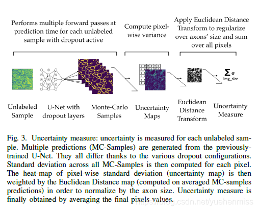 《Deep Active Learning for Axon-Myelin Segmentation on Histology Data ...