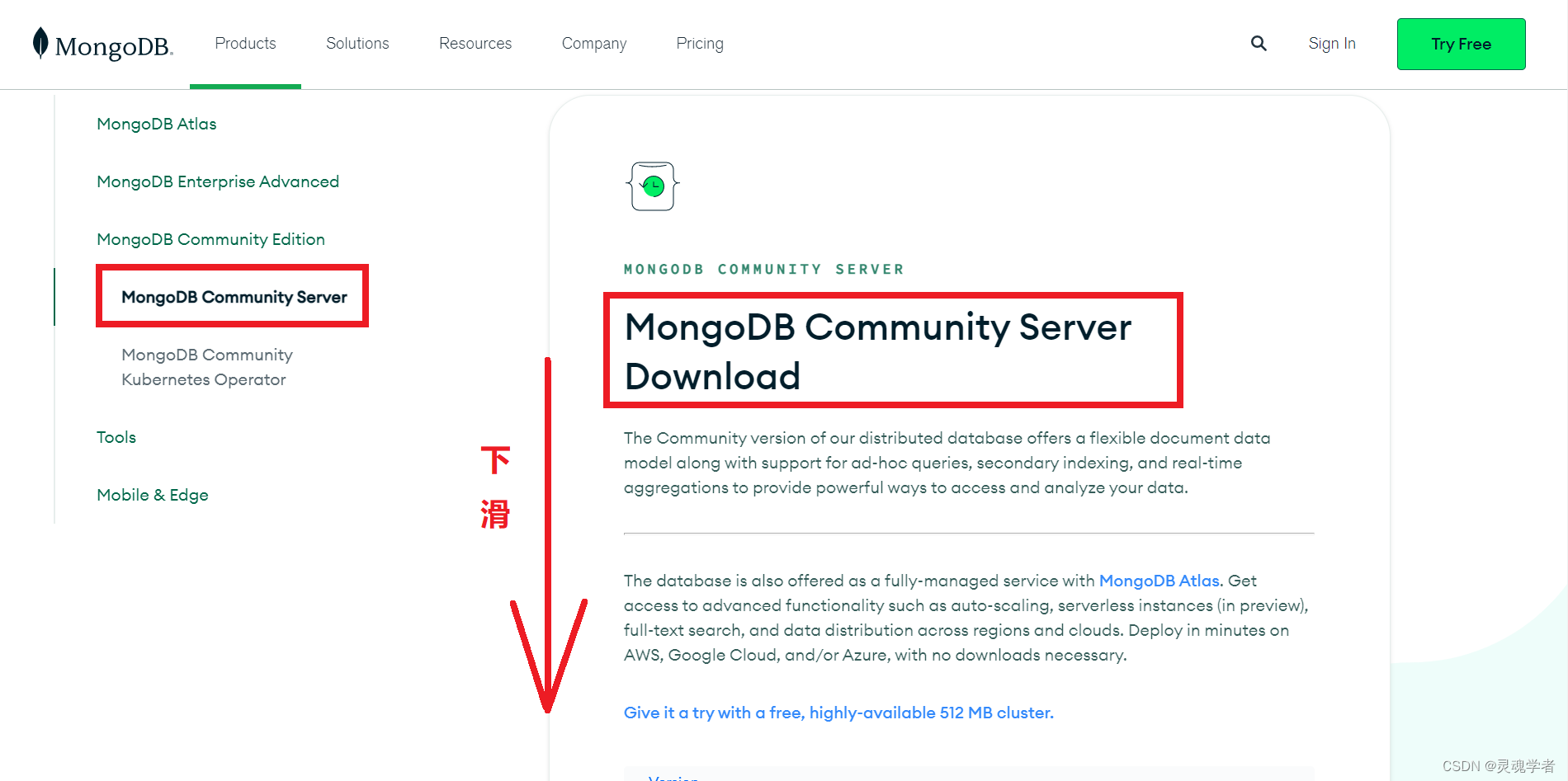 MongoDB 数据库安装详细教程_mongodb数据库安装-CSDN博客