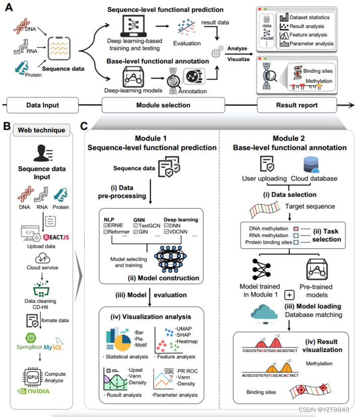 DeepBIO:一个自动化和可解释的深度学习平台，用于高通量生物序列预测，功能注释和可视化分析-CSDN博客