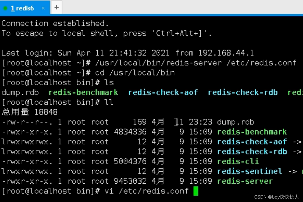 【Redis-08】Redis持久化之AOF_appendonly.aof-CSDN博客