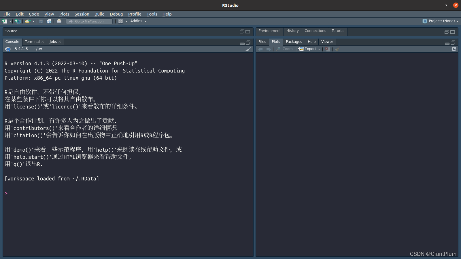 Linux(Ubuntu) 下安装最新版的R 、RStudio 以及R包_download the rstudio ide-CSDN博客