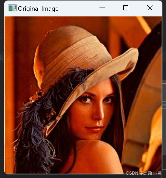 imgaug库图像增强指南（1）：imgaug简介与安装指南-CSDN博客