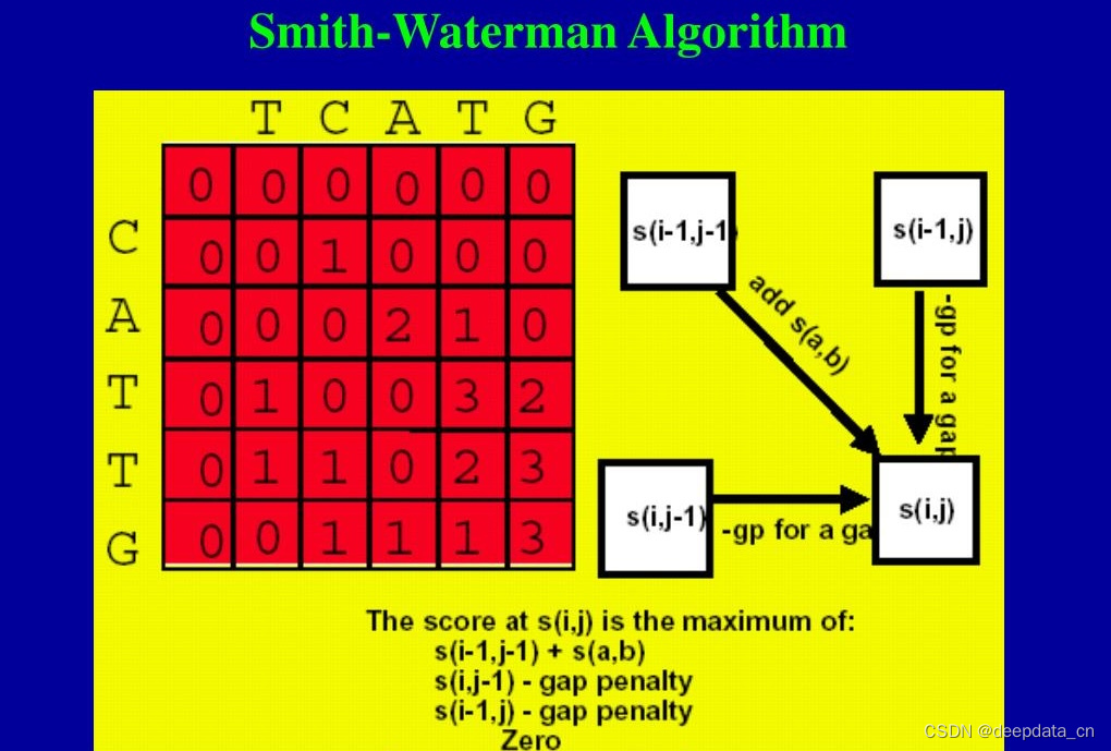 Smith-Waterman算法-CSDN博客