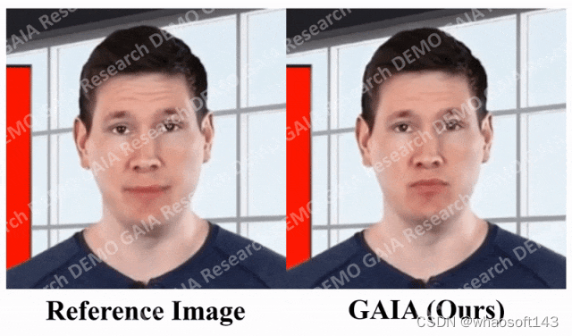 GAIA~-CSDN博客