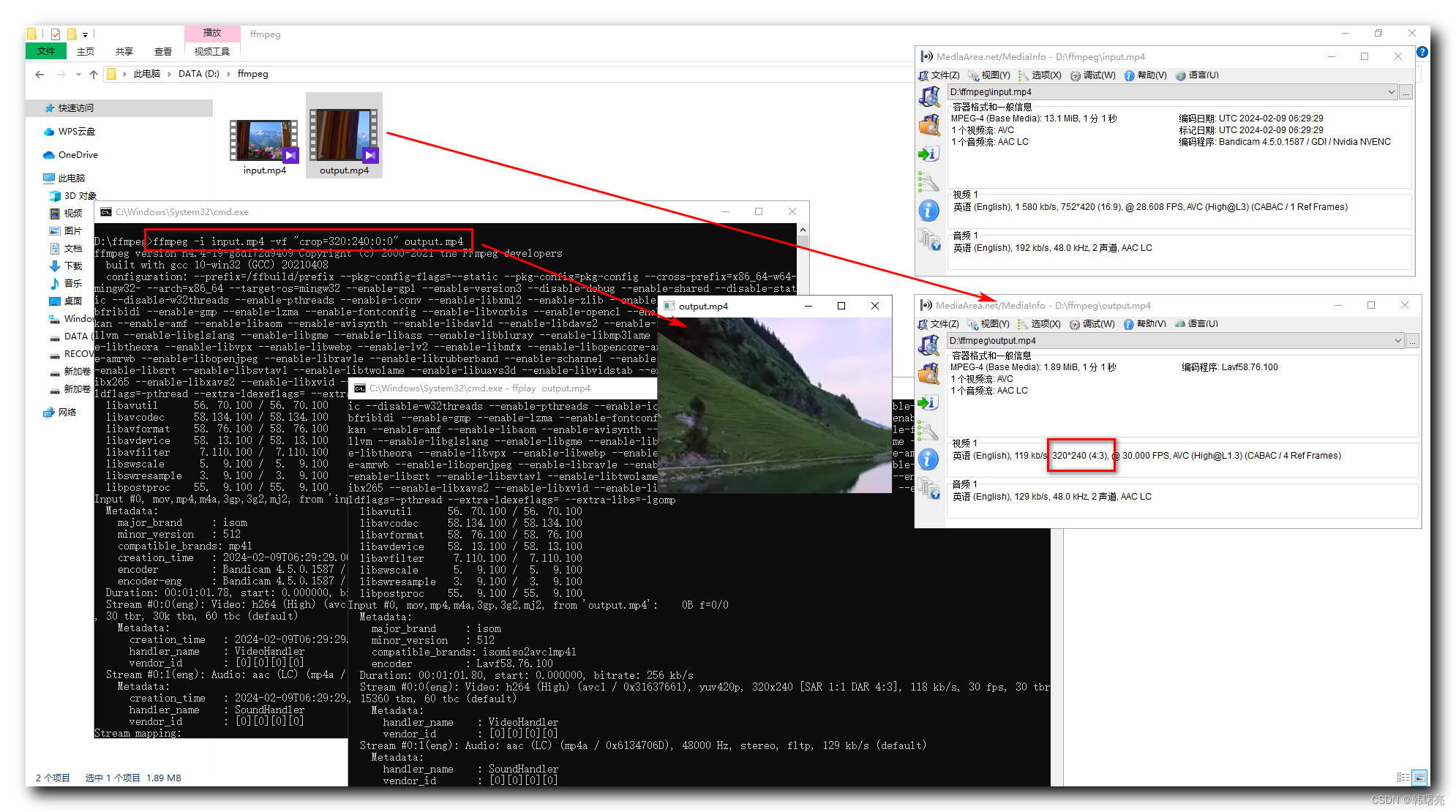 【FFmpeg】Filter 过滤器 ② ( 裁剪过滤器 Crop Filter | 裁剪过滤器语法 | 裁剪过滤器内置变量 | 裁剪过滤器常用用法 )_ffmpeg crop-CSDN博客