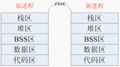 Linux进程替换：exec函数族_exec函数族实现-CSDN博客