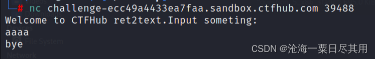 CTFhub-pwn-[ret2text]-writeup_ctfhub ret2text-CSDN博客