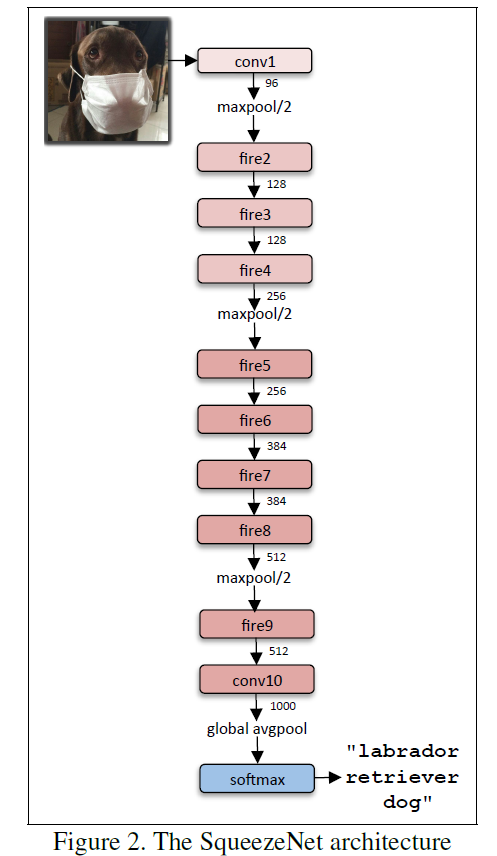 SqueezeNet网络模型详解_squeezenet 网络模型-CSDN博客