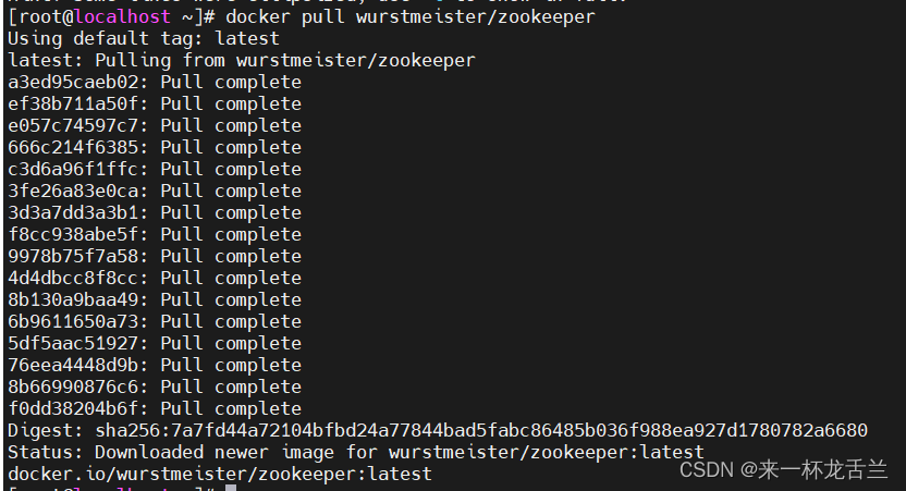 【Linux】Docker安装kafka教程（超详细保姆篇）-CSDN博客