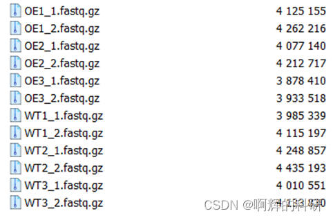 有参转录组实战1-批量质控-fastp_fastp批量处理-CSDN博客