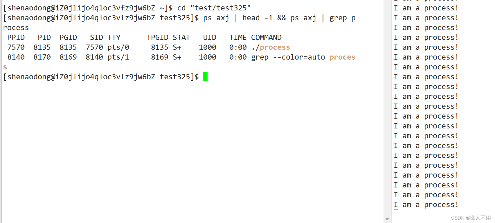 linux之进程-CSDN博客