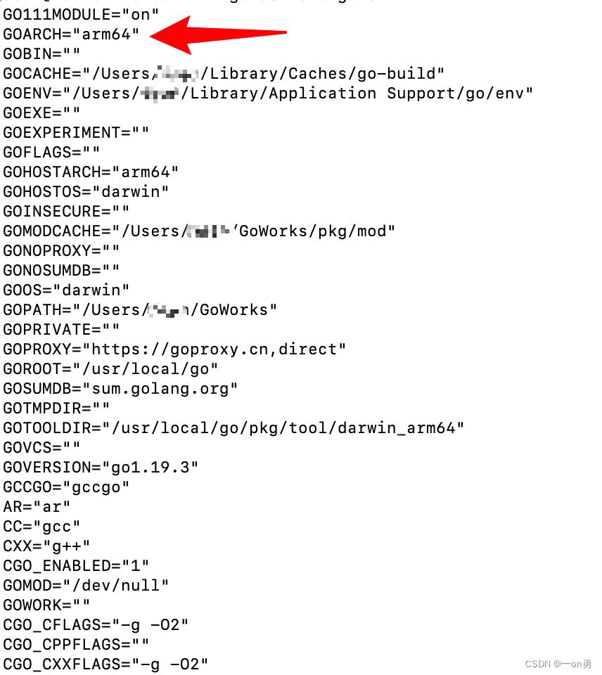 Mac M1解决Goland 中debug失效问题_mac goland 无法断点-CSDN博客