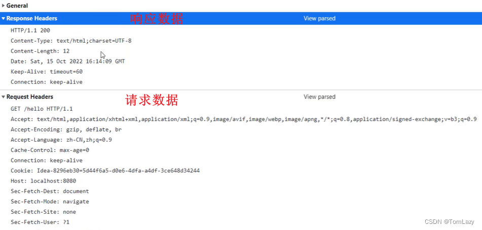 【Java Web】004 -- Maven & SpringBootWeb入门_springboot web maven-CSDN博客